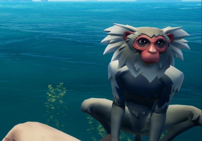 10 Best Pets in Sea of Thieves