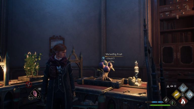 Hogwarts Legacy: How to Get Shrivelfig Fruit