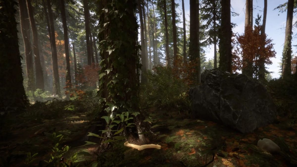 Best Base Location in Sons of the Forest