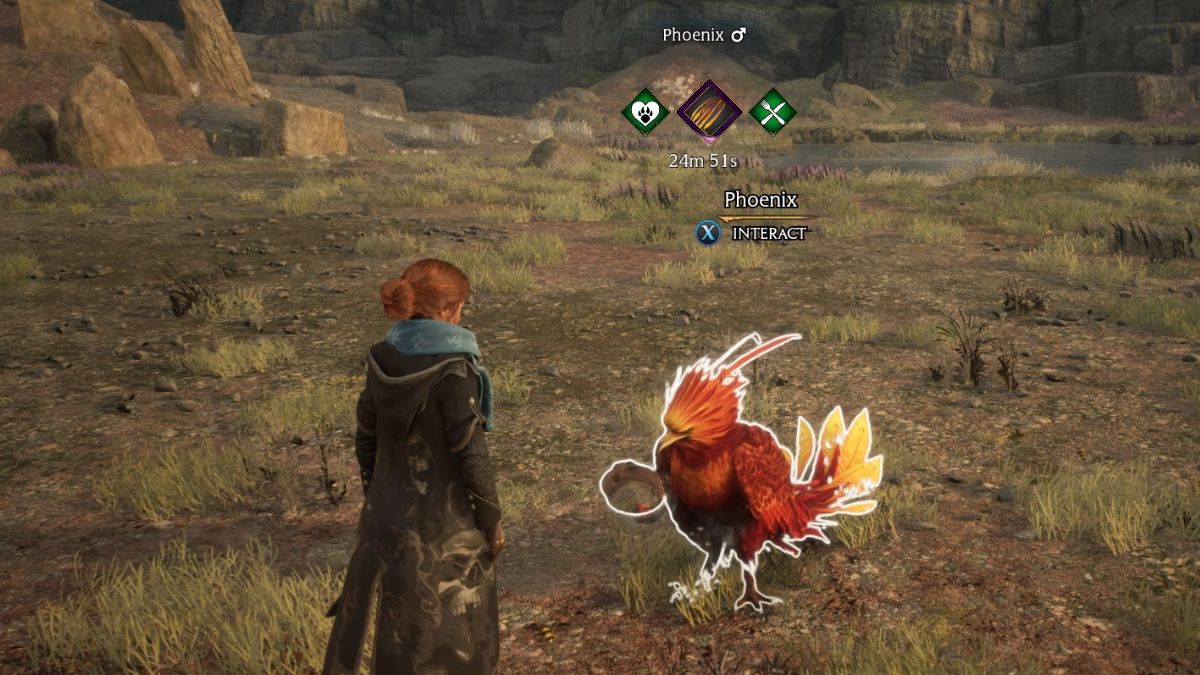 Hogwarts Legacy: Where to Find Phoenix