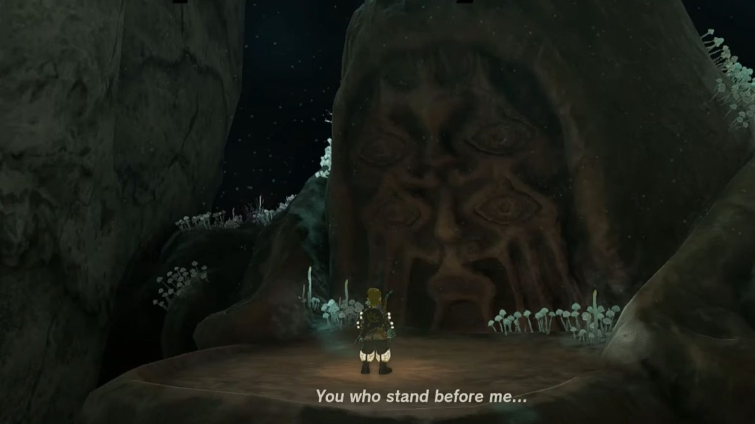 Tears of the Kingdom: Depths Armor Set Location