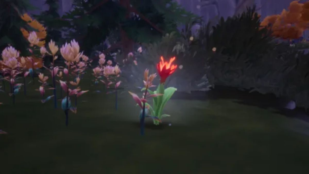 Palia: Where to Find Heartdrop Lily